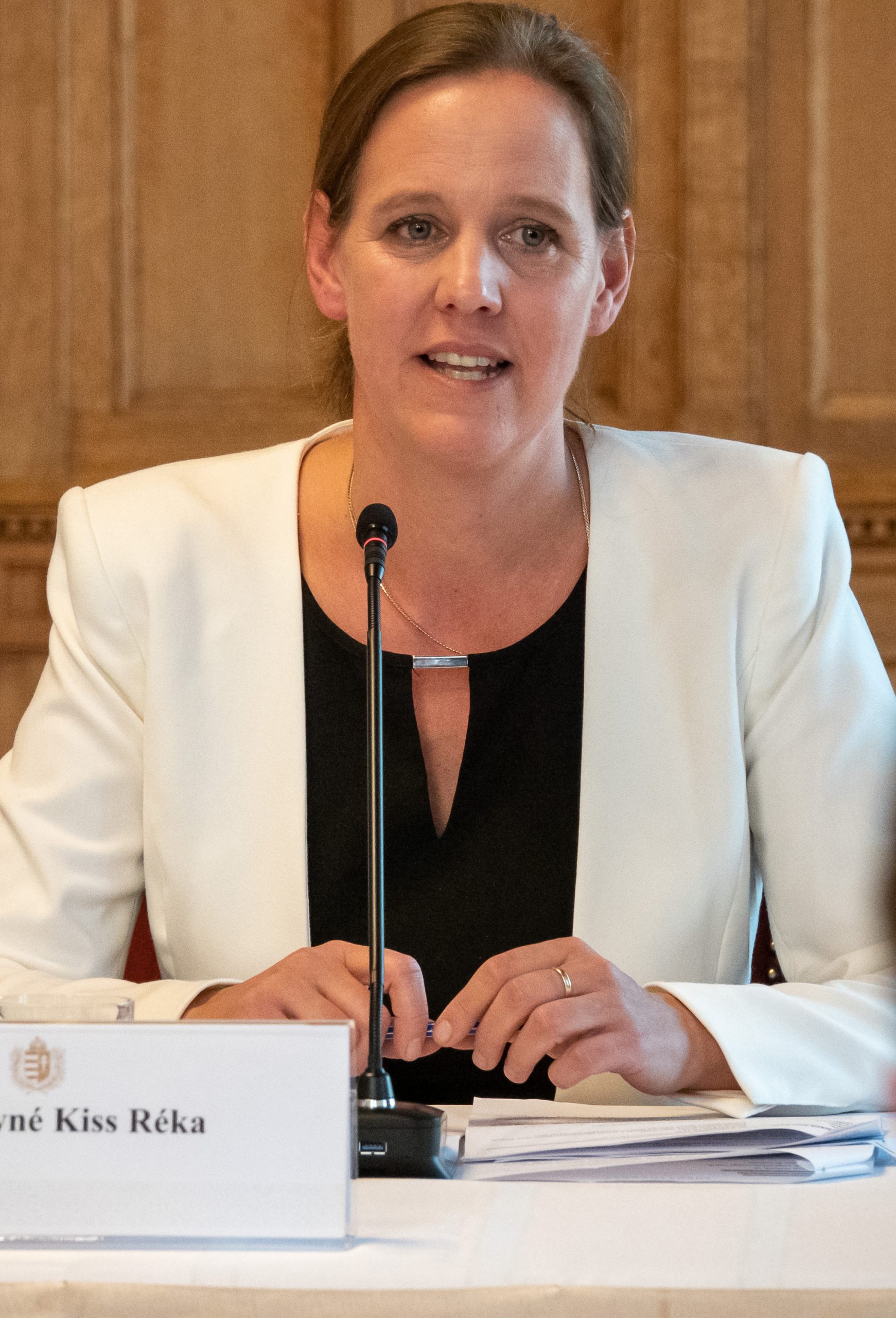 FÖLDVÁRYNÉ KISS RÉKA | Háborúkban Megerőszakolt Nők Emlékezete